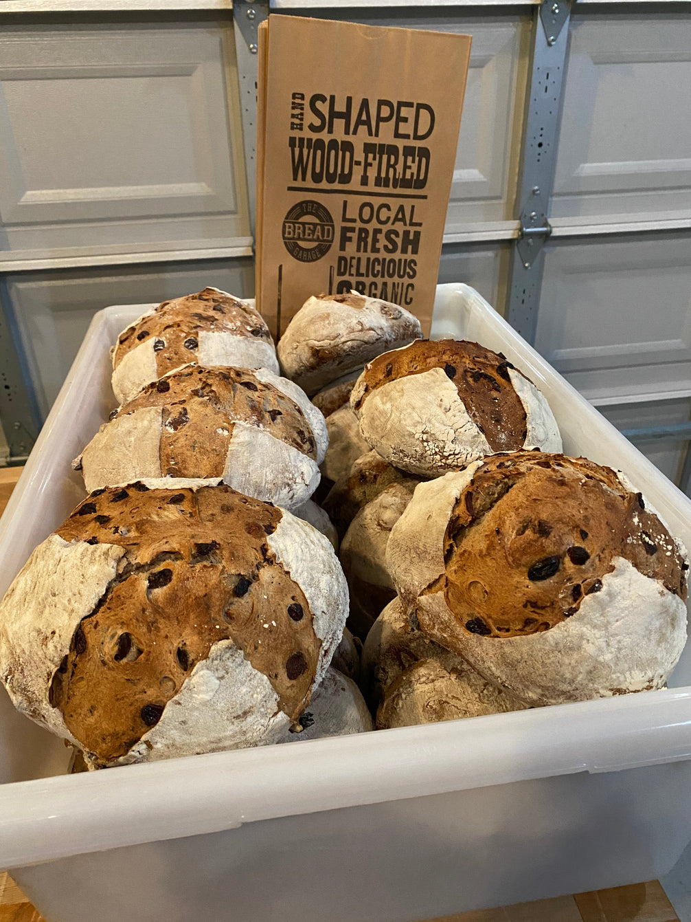 RAISIN WALNUT LEVAIN – The Bread Garage, LLC